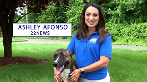 WWLP-22News on Reels | Facebook