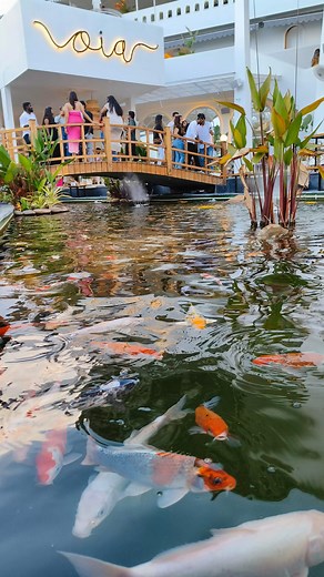 The Evergreen India ✈️ A Traveller's Gallery🛤️ on Instagram: "Asia’ largest Pub is now open in Bangalore❤️ . . 📍OIA Bangalore❤️ @oia.bangalore 🤍 . . Follow @the_evergreen_india for more such beautiful posts ❤️ . . 🚫REPOST NOT ALLOWED🚫 . . #oia #asiaslargestpub #luxurious #taproom #hennur #pub #thepeoplesplace #bangalore #oiabangalore #newpubintown #instagood"