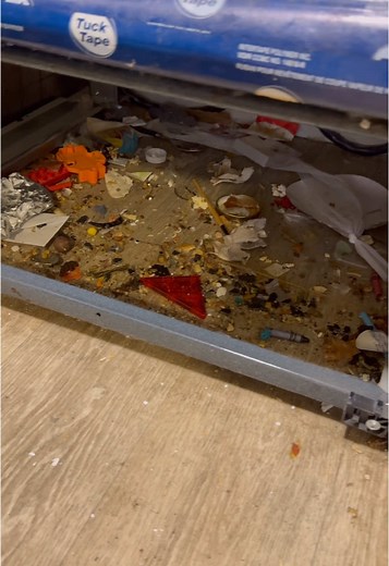 Move-Out Cleaning Tips for a Fresh Start