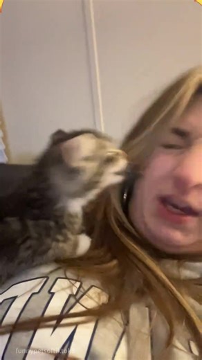 Adorable Kitten Mischief Caught on Camera