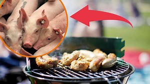 Stiftung Warentest prüft Fleisch: Zwei bekannte Discounter fallen im Test durch