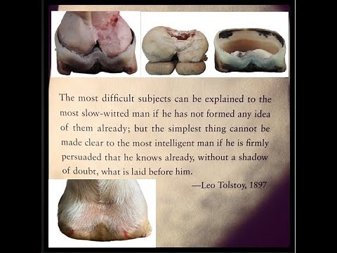 Introduction to Understanding the True Anatomy of the Horses Foot. part 1