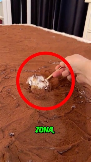 La estafa del tiramisú 😡