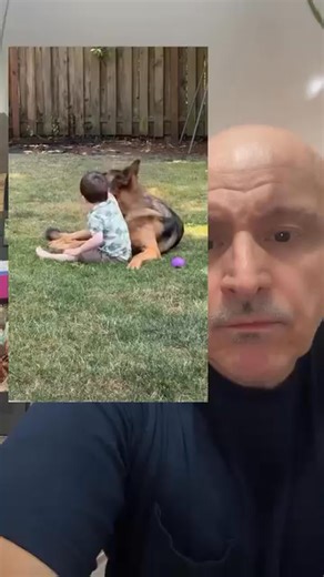 German Shepherds know. They just do. That’s the most protected child in town... 🤗 #germanshepherd #dogsofinstagram #kids #protection #dog #doglover #facts #Fyp #lovethis | I Love My German Shepherd