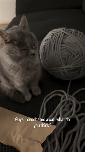 2.5K views · 12 reactions | This crochet technique might be too advanced for us 臨 Thank you fur sharing your life-like meowsterpiece @theminimasi #crochet #crafting #catcrafts | PrettyLitter | Facebook