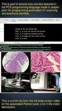 Multiplexing - multiple camera preview for the PUMA microscope