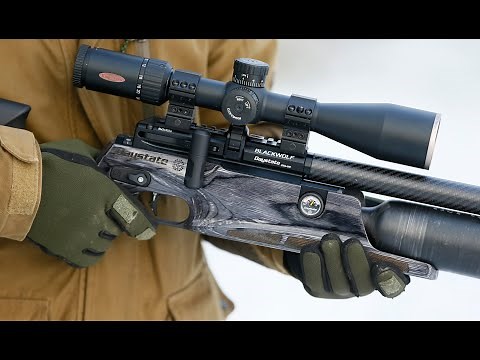 Daystate Blackwolf the Ultimate Platform Air Rifle
