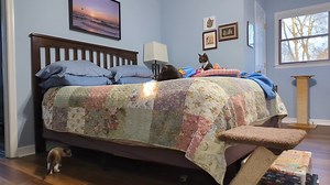 27K views · 2.9K reactions | Yesterday I moved Linzer and Cinnaspin...