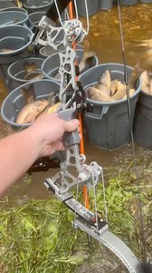 1.1M views · 9.2K reactions | Cette carpe envahit les rivières américaines, mais personne ne veut la manger… voici pourquoi. #LeSaviezVous #interessant #poisson #peche #carpe | Apprendavectonton | Facebook