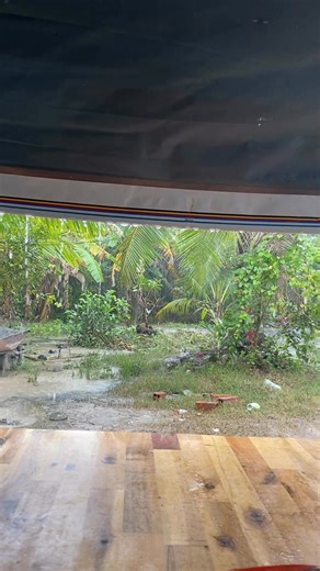 Mei Mei on Reels | Facebook