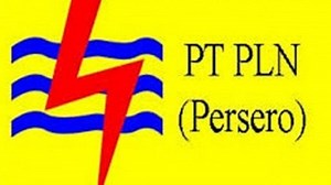 PLN Kembangkan Layanan Listrik Renewable Energy Certificate - Tribunnews.com