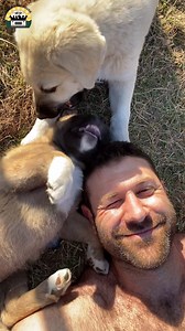 It only took 7 weeks but Frankie finally ate out of my hand! Also, you will NOT believe how we got these two puppies. Stay tuned. 😀😀😀 | The Asher House