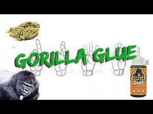 Gorilla Glue: Dope Review