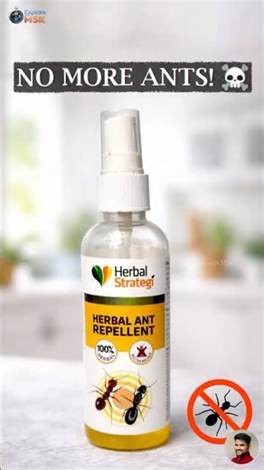 Herbal STRATEGI Ant Repellent Spray Review | Best Ant Solution for Home | ExploreWithMSK