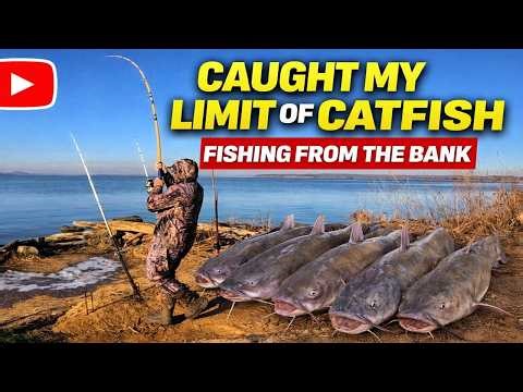 Caught my limit of catfish from the bank