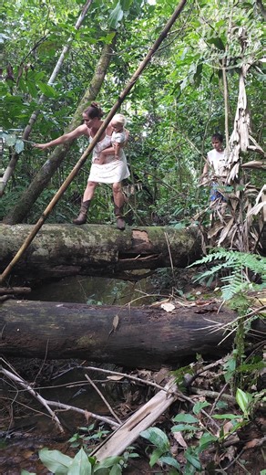 Crossing a Sketchy Log Bridge Deep in the Jungle! 🌴🌊😱 #JungleLife #LogBridge #OffGridLiving