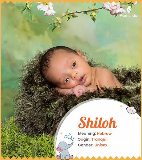 Shiloh Baby Name: Meaning, History & Popularity Guide For 2025