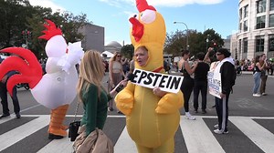 72K views · 2.6K reactions | The No Kings protest Saturday was full of colorful characters calling Trump a king, the only problem? They had no idea what they meant by that. | CNSNews.com | Facebook