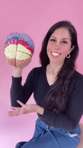 everything you need to know about nervous system dysregulation👇🏼 think of your nervous system essentially as the communication highway between your brain and your body 🧠 your nervous system is responsible for controlling and coordinating all bodily functions, including movement, sensation, cognition, and emotion ✨ when your nervous system becomes dysregulated, there’s a disruption in the communication between your brain and your body��this leads to a wide range of physical and mental health p