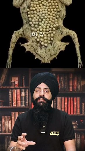 Fish on the Move: How Fish Ladders Work Their Magic 🐟#FishLadders #FishMigration #AquaticEngineering