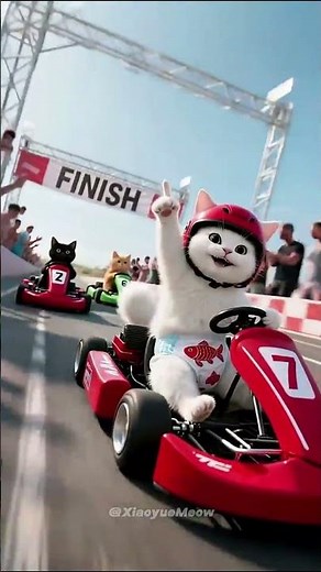 part 02🐱His dad got sick_ kitten did something incredible.🏎️l Coffin dance soong cover