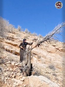 2.1K views · 12 reactions | Life of nomadic widow struggle to cutting a tree for firewood and cooking food #nomadiclife #Boomnow #nomad #nomadic #fypシ #reelfb #life #BoomChallenge #nomadiclife #adventure #followers #enjoy | Kajabi Lifestyle | Facebook