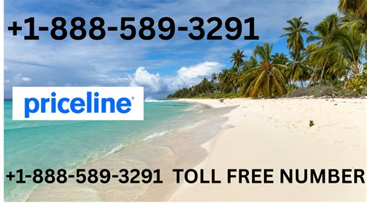 A Complete Guide to { Priceline®} Customer Service ☰ Live Person at Priceline– Full Guide}}
