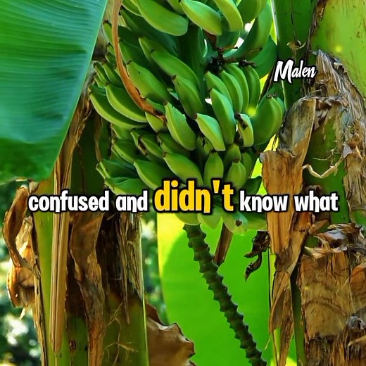 93K views · 2.1K reactions | You made me live again Song by:Janet Basco Cover by:MamaJ No Copyright Infringements Intended.. I do not own the Music in this Video..All Rights belong to the Owner,Music Writer,Composer,Singer... | Malen | Facebook