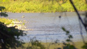 Person who drowned in Sandy River identified as Portland man