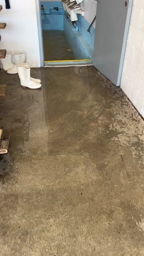 Merchant Seaman Life - Earn While You Learn