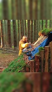 25K views · 165 reactions | Beautiful girls forest shelter #bushcraft #camp #camping #survival #shelter #wildlife #outdoors #viral #fyp #foryou | Caught on Camera | Facebook