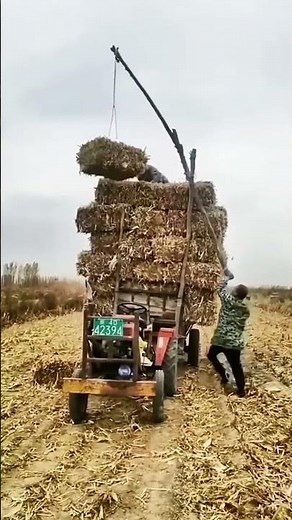 Loading bundled corn stalks with a simple lever tool