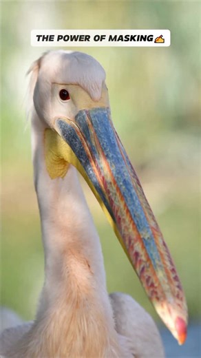 190K views · 2.3K reactions | The Power of Masking! ✍️ ⬇️ Want to...