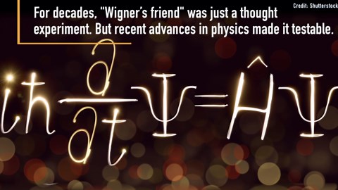 Knowledge: In Quantum Physics, More Than One Reality Exists