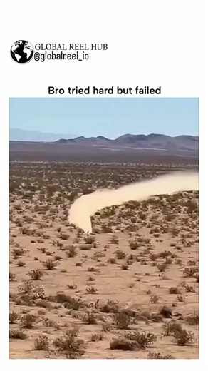 explaining on Instagram: "The video depicts a Greater Roadrunner, a North American desert bird capable of sprinting at up to 26 mph, creating a dramatic dust trail that evokes the Looney Tunes Road Runner cartoon. Posted by a dog-focused entertainment account, the clip unexpectedly garnered 49,000 views and 136 likes, demonstrating broad appeal of fast animal feats beyond typical content themes. User replies blend humor with curiosity, referencing cartoon sound effects like "beep beep" and debat