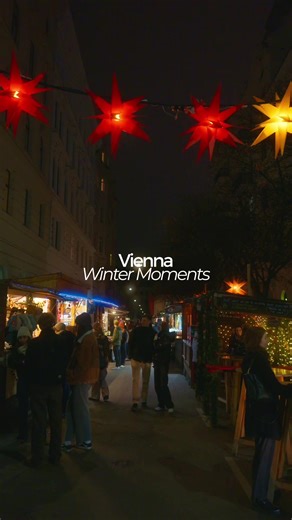 Experience Magical Winter Moments in Vienna