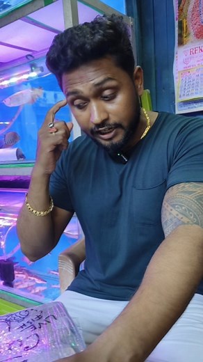 Another Shipping...📦📦 For More 📱9836-515451/6290-774415 . . . . . #fishshipping #aquariumhobby #ashokaquafish #aquarium #shipment | Ashok-Aqua