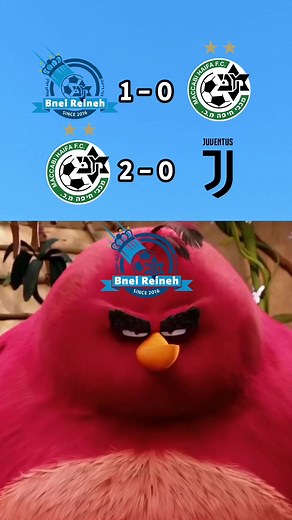 The Better Team: Animated Bird Characters in Action