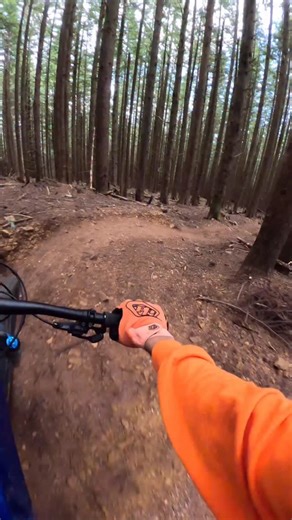 3.5K views · 632 reactions | What’s your favorite trail at Tiger Mountain? | Lain Van Ogle | Facebook