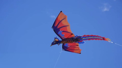 HENGDA KITE-Upgrade Classical Dragon Kite Stereoscopic Dragon Kites for Kids & Adults Easy to Fly for Beginner Easter 55inch x 62inch Single Line with Tail