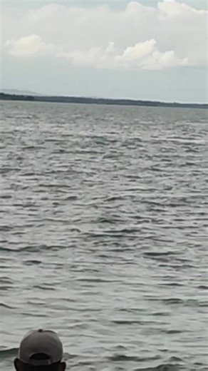 9K views · 103 reactions | BONGABONG ORIENTAL MINDORO BANGKARERA 2025  ALAYJA VS HIGH OCTANE VS POWER UP | Ricson Misal Gutierrez | Facebook