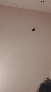 #Finance #insurance #Earnings #Technology #Credit #Software | ArabaTv Backup