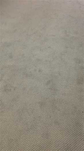 ottawa on Instagram: "Old carpet no problem Our counter-rotating brushes extract pet hair and debris while using encapsulation technology to prevent dirt and oil from reattaching to the carpet. Our low moisture system uses organic products that are safe for children and pets and results in a 1-hour dry time! #oxifresh #carpetcleaning #christmasvacation #crbmachine #carpetraking #grandigroomer #cleancarpet #berbercarpet #southeastidaho #stainremoval #pethairremoval #cleancarpet #satisfying #foryo