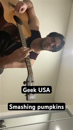 Geek USA - Smashing pumpkins #guitar #acousticguitar