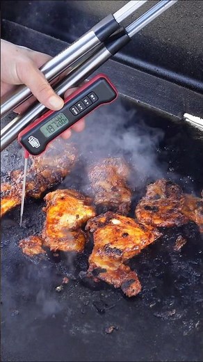 How to check the internal temperature on your meat