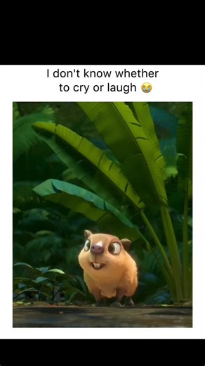 the clip master on Instagram: "🎬 Rio 2 (2014) Genre: Animation / Adventure / Comedy Runtime: 1h 41m Rating: 6.3/10 (IMDb) Director: Carlos Saldanha Rio 2 reunites Blu, Jewel, and their three kids as they leave the comfort of Rio de Janeiro for a wild adventure deep in the Amazon rainforest. When Jewel believes their family may not be the last of their kind, Blu must step out of his comfort zone and face new challenges, rivals, and the call of the wild. Colorful, energetic, and full of heart, th