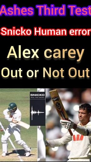 Alex Carey OUT or NOT OUT? Snicko Human Error Sparks Massive Ashes Controversy!