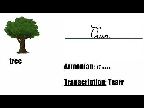 Learning Armenian: How to write cursive in Armenian