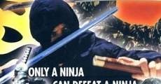 Ninja Protector (1986)  - Ver Película Completa en Español / Castellano - FULLTV