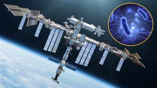 Viruses that evolved on the space station and were sent back to Earth were more effective at killing bacteria